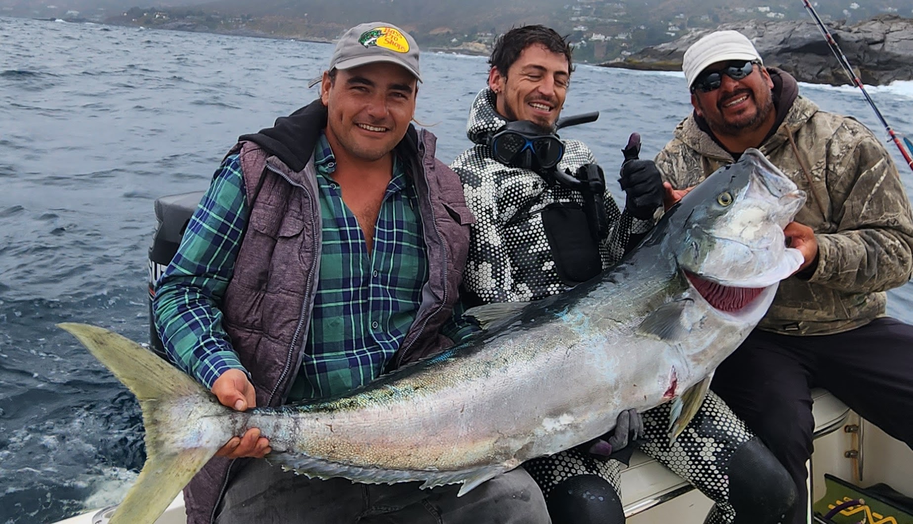 Inicio - Expediciones Green Marlin
